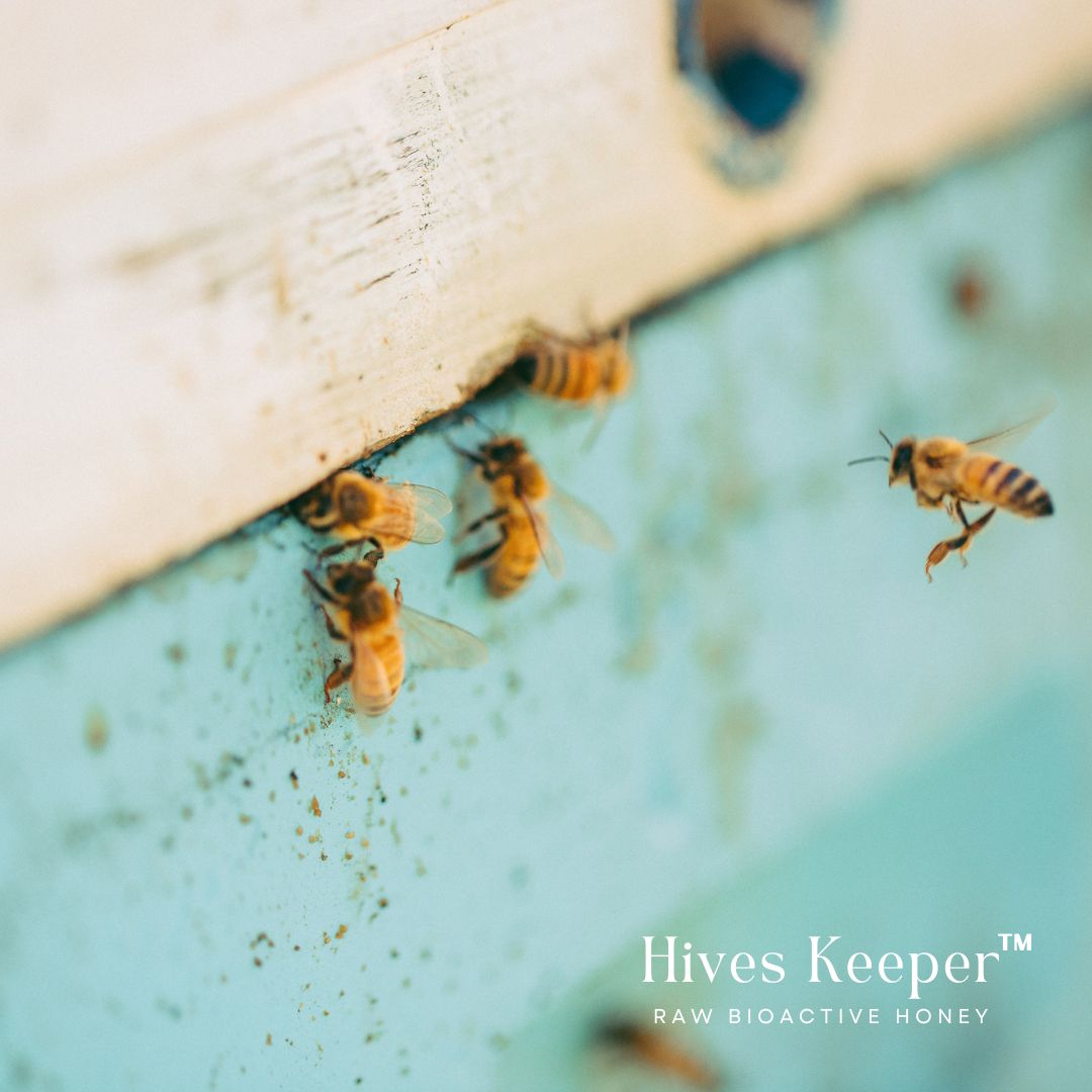 How Can One Distinguish Between Real and Fake Honey? – Hives Keeper